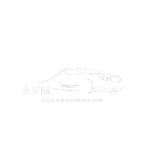 Leistungsprüfstand - Avm-car-performance.de